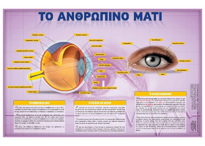 Το ανθρώπινο μάτι :: Εκδόσεις Άτλαντας - Νικόλαος Τσακνάκης